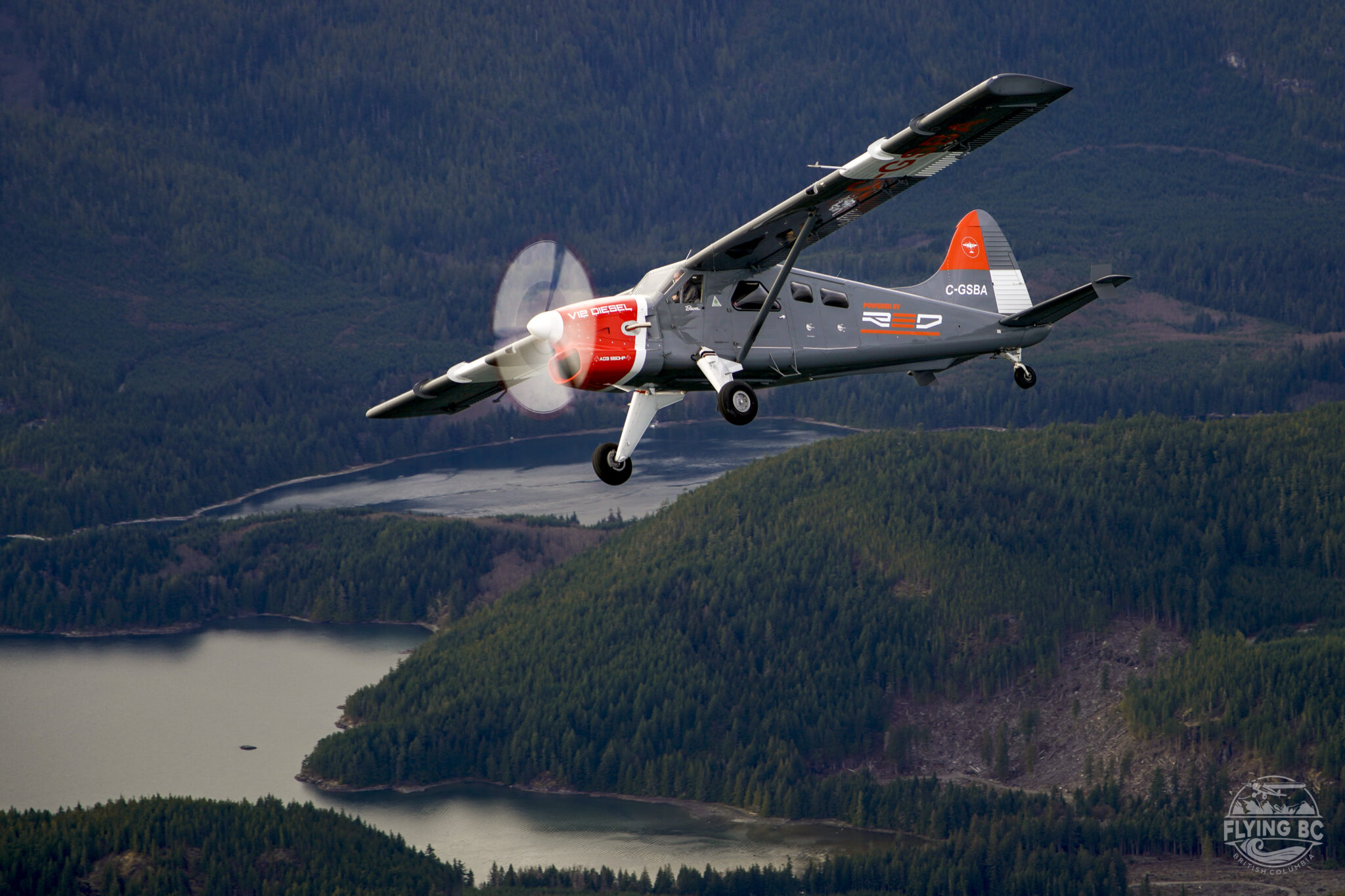 RED BEAVER PROJECT – REPOWERING A LEGACY – Sealand Aviation Ltd.